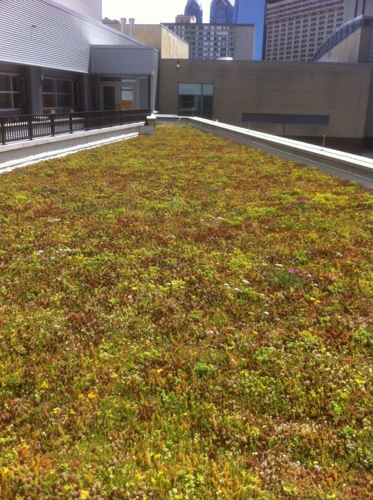 Community College of Philadelphia Selects LiveRoof® for Two New Green ...
