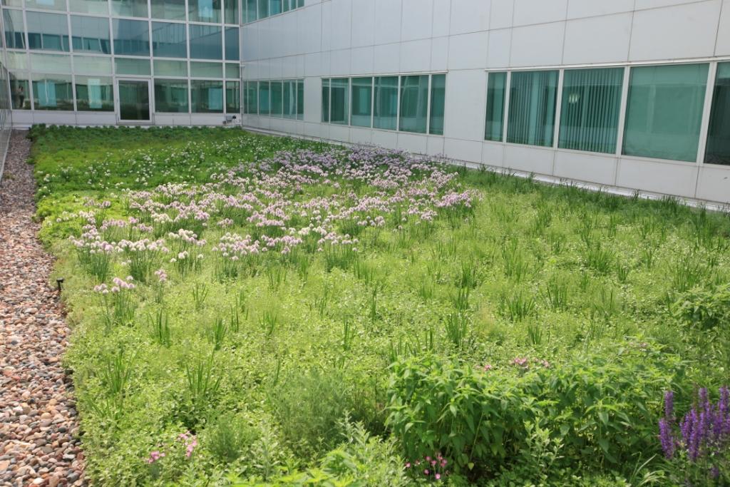 LEED - LiveRoof Green Roof Systems