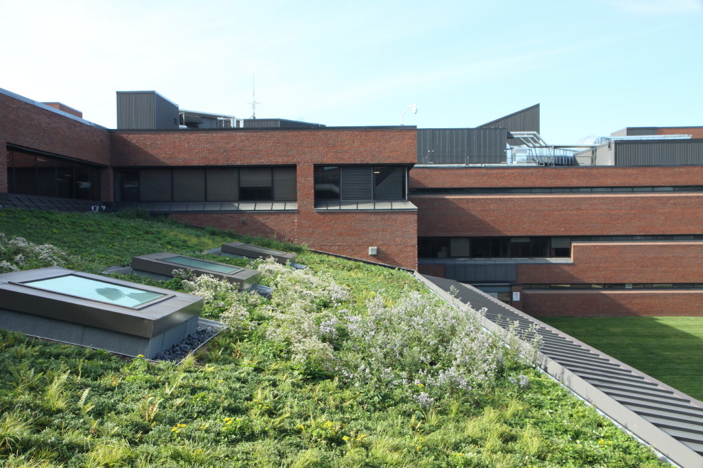 Design & Engineering Information - LiveRoof Hybrid Green Roofs