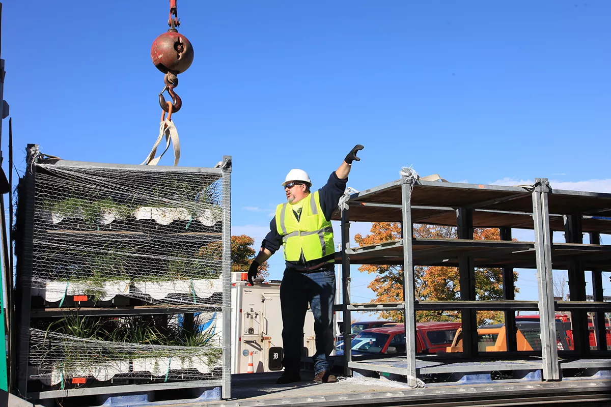 Installation - LiveRoof Green Roof Systems