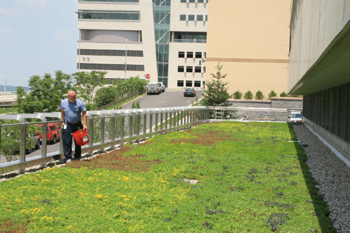 Technical - LiveRoof Green Roof Systems