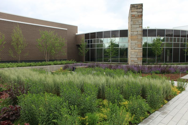 Plants - LiveRoof Green Roof Systems