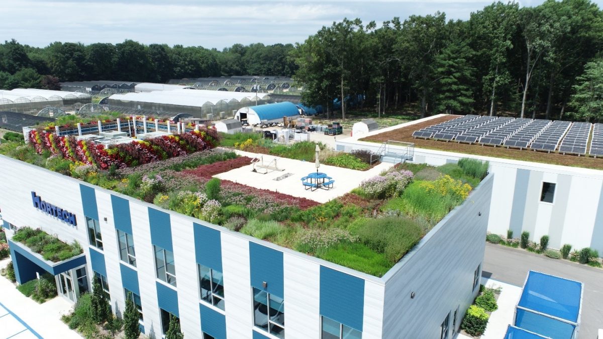The Proven Advantages You Should Expect from a Green Roof System - LiveRoof