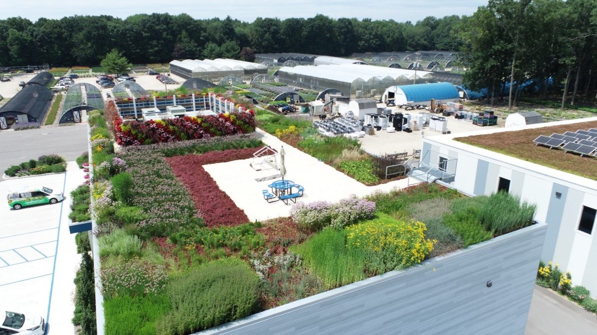 The Proven Advantages You Should Expect from a Green Roof System - LiveRoof